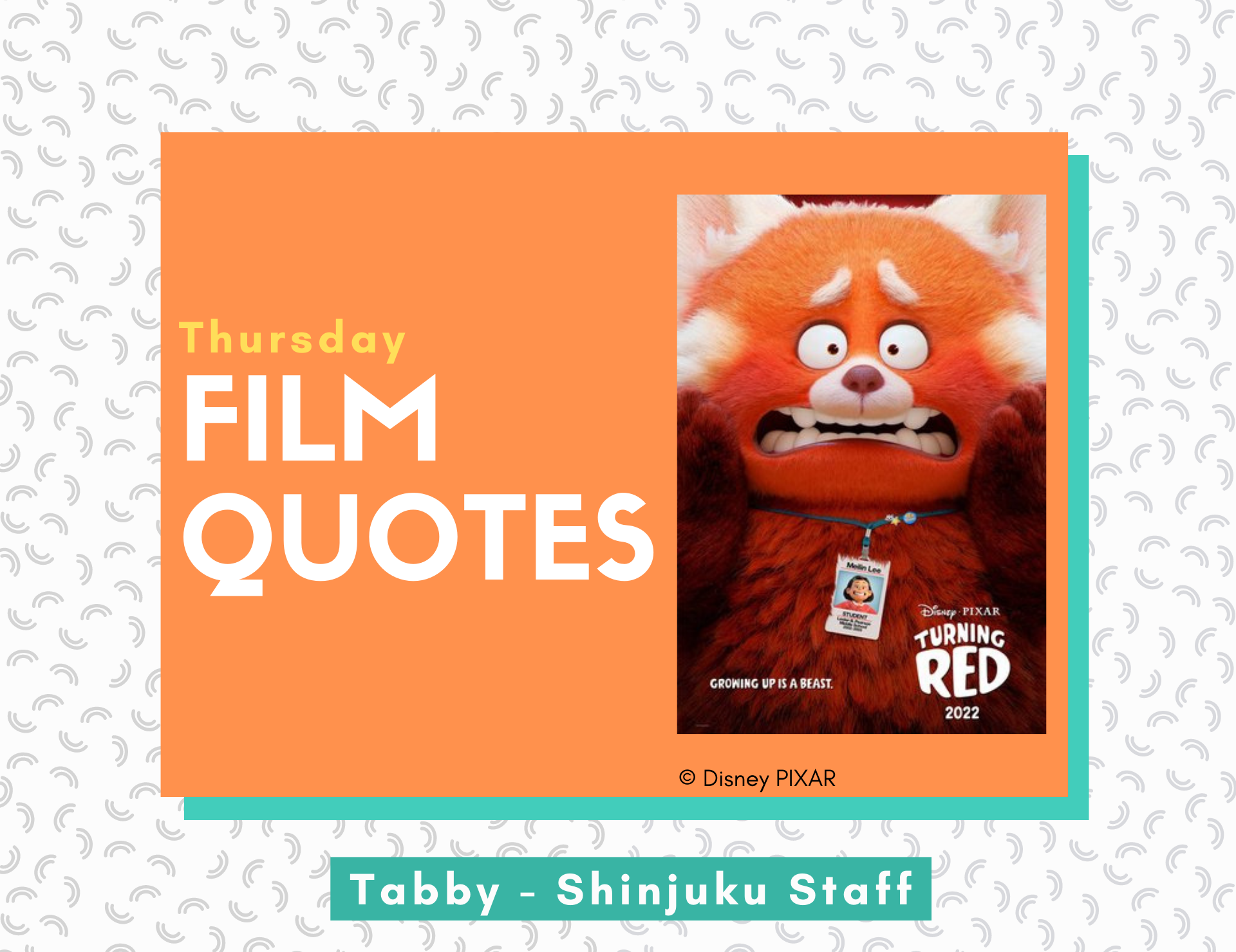 映画の名台詞から英語を学ぼう！『レッサーパンダ』 - 英会話 Jabble